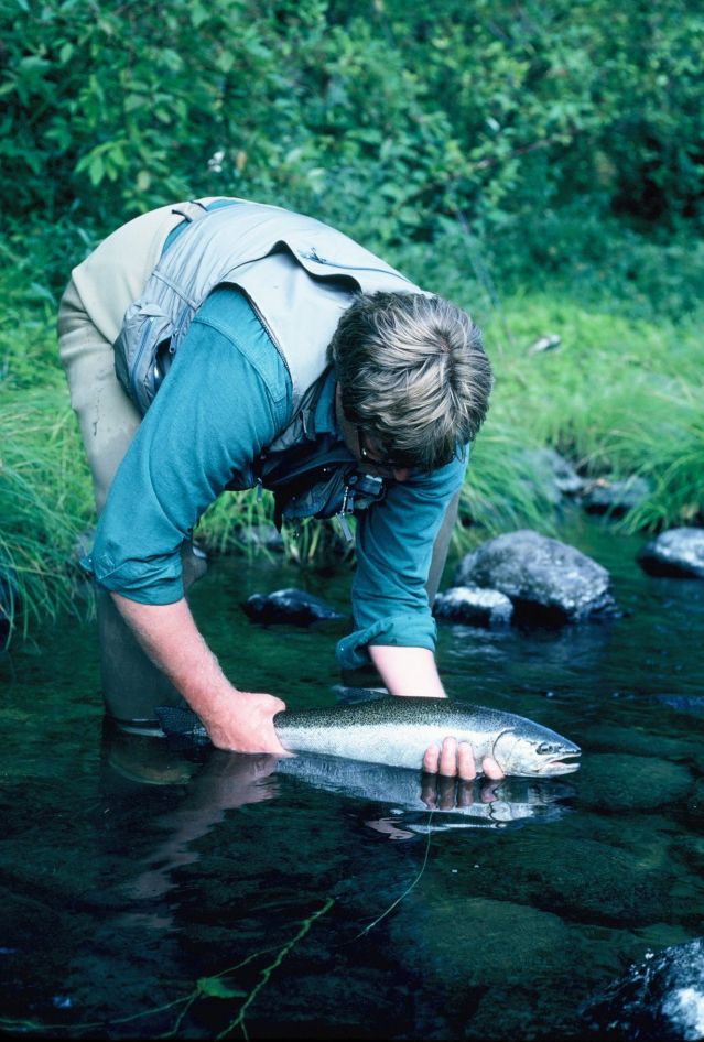 Outright Lies – Common Sense Solutions to Complex Problems